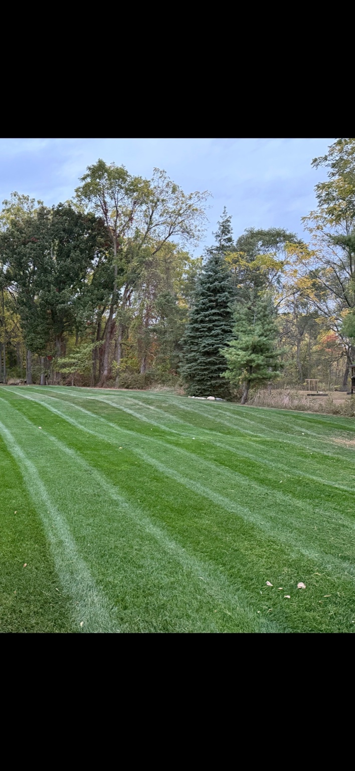 Grub Control in Michigan: Signs, Timing, and Treatment for Macomb ...